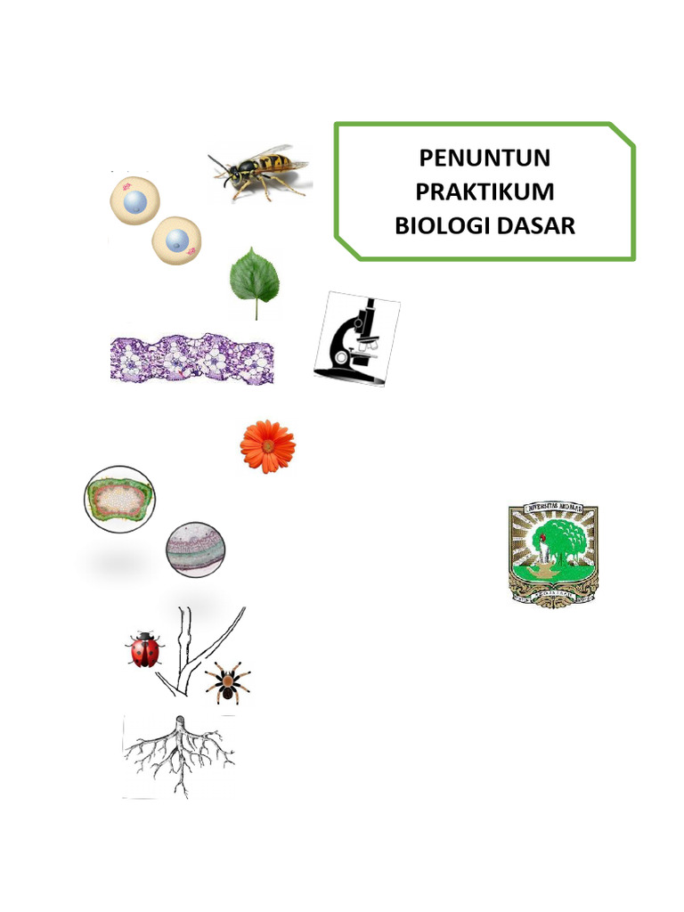 Modul Praktikum Biologi Dasar Dan Botani 2024 | PDF