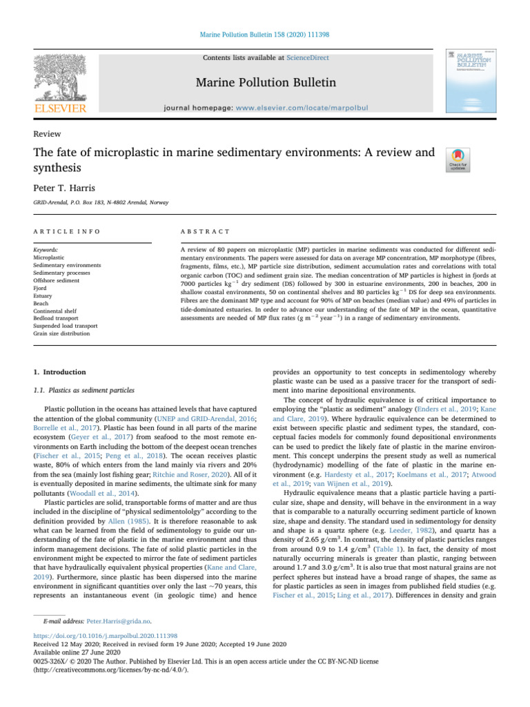 Microplastic Fate in Marine Sediments | PDF | Sediment | Estuary
