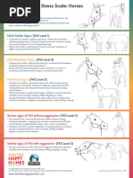 Cat FAS and Frustration Scale Guide | PDF