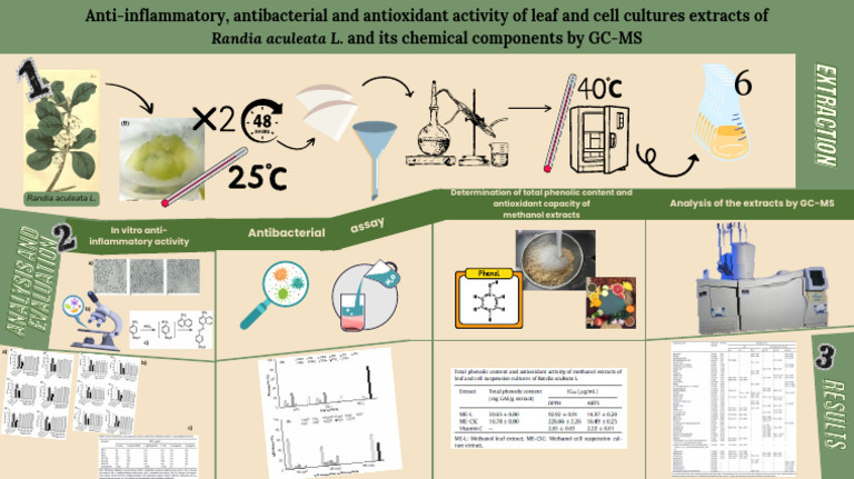 Anti-Inflammatory, Antibacterial and Antioxidant Activity of Leaf and Cell Cultures Extracts of ...
