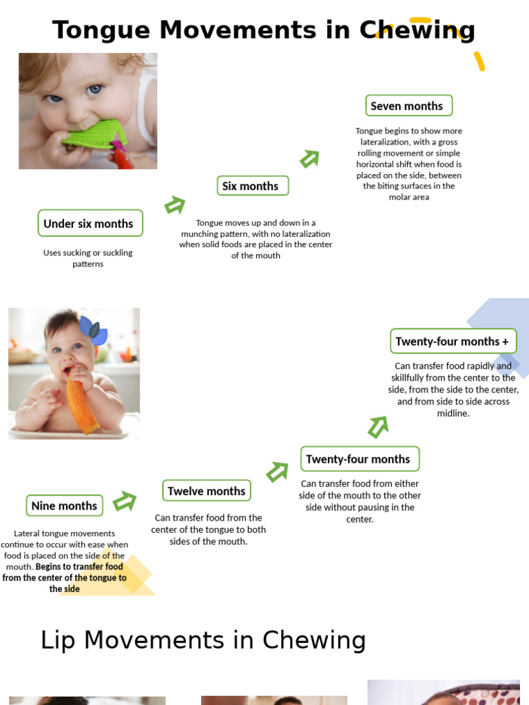 Tongue Movements in Chewing | PDF | Mouth | Tongue