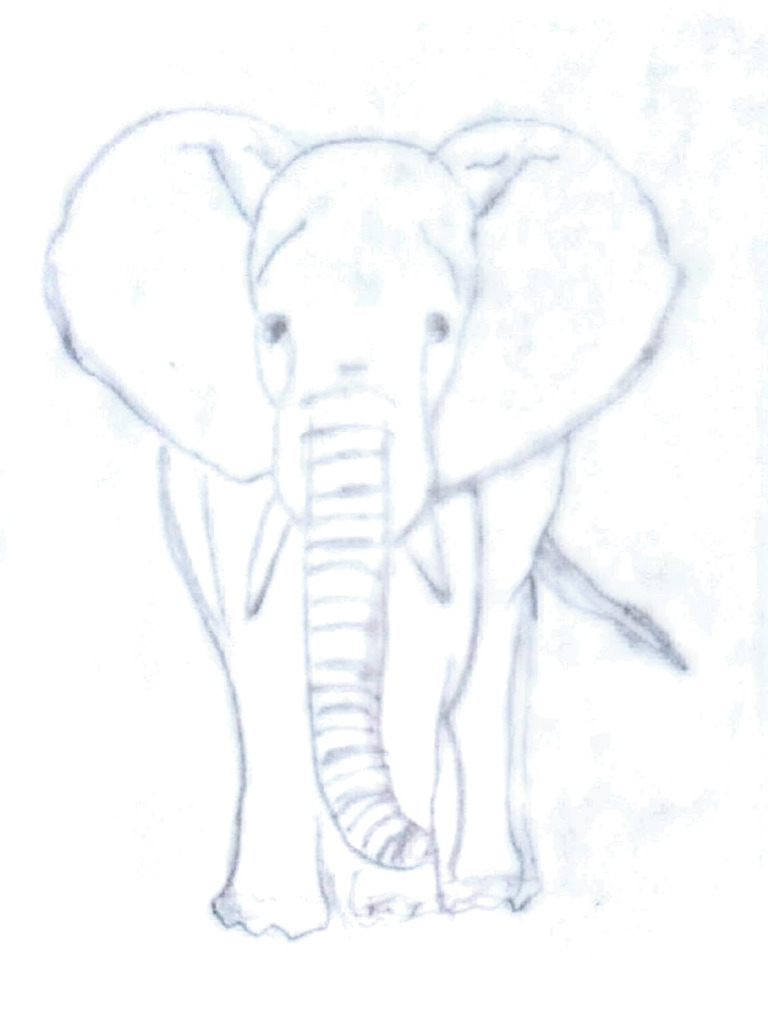 Ashik Mohammad - Cse 19 | PDF