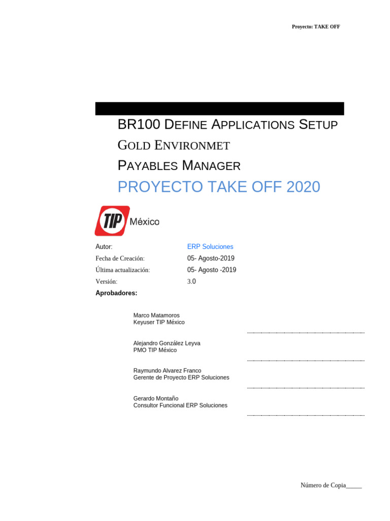 BR100 Ap Proyecto Take Off Gold | PDF | Accounts Payable | Payments