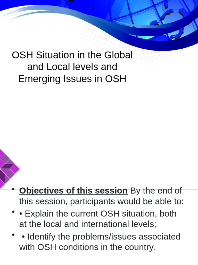 OSH Situation in The Global and Local Levels | PDF | Employment | Pesticide