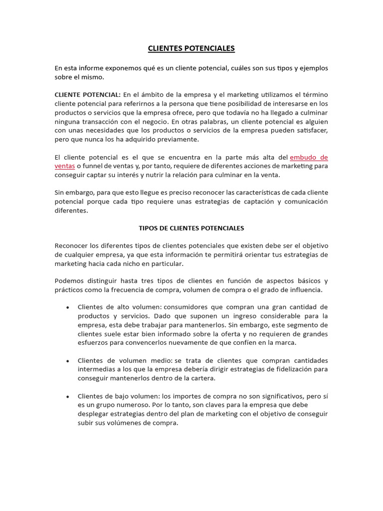 Informe de Cliente Potencial | PDF | Cliente | Marketing