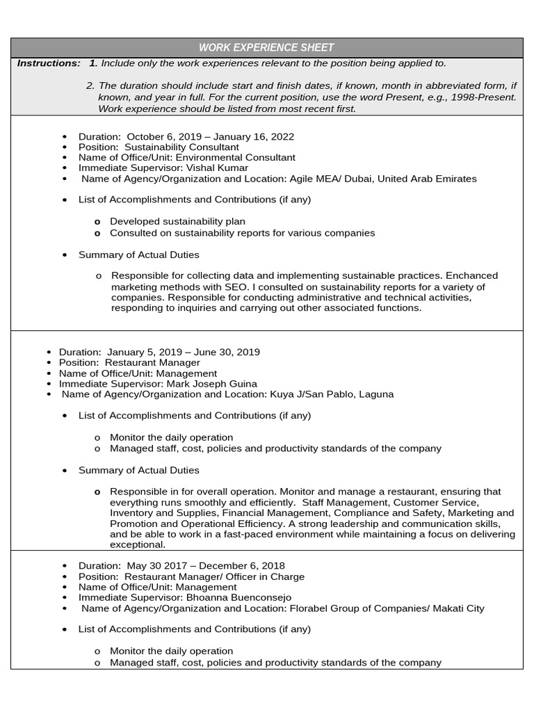 Work Experience Sheet - 8292024 | PDF | Business Economics | Business