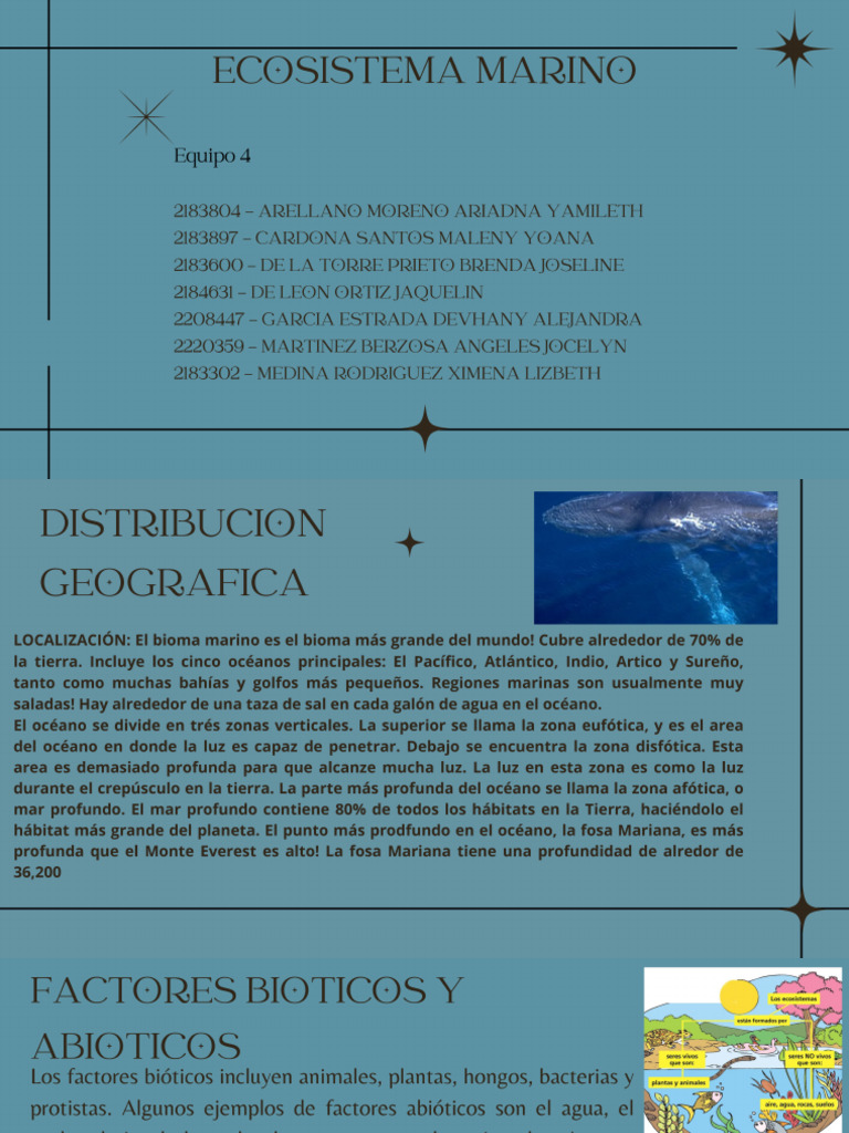 Equipo 4 Evi 3 | PDF