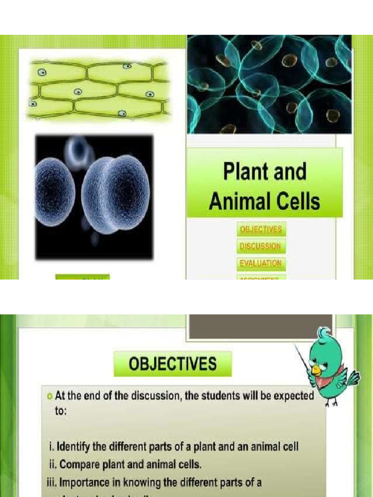 Parts and Functions of Cells | PDF