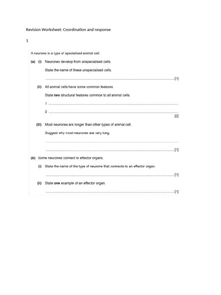 Revision Worksheet - Coordination and Response | PDF