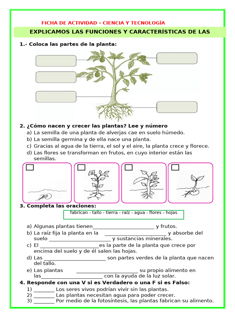 Ficha-Mart-Cyt-Explicamos Las Funciones y Características de Las ...