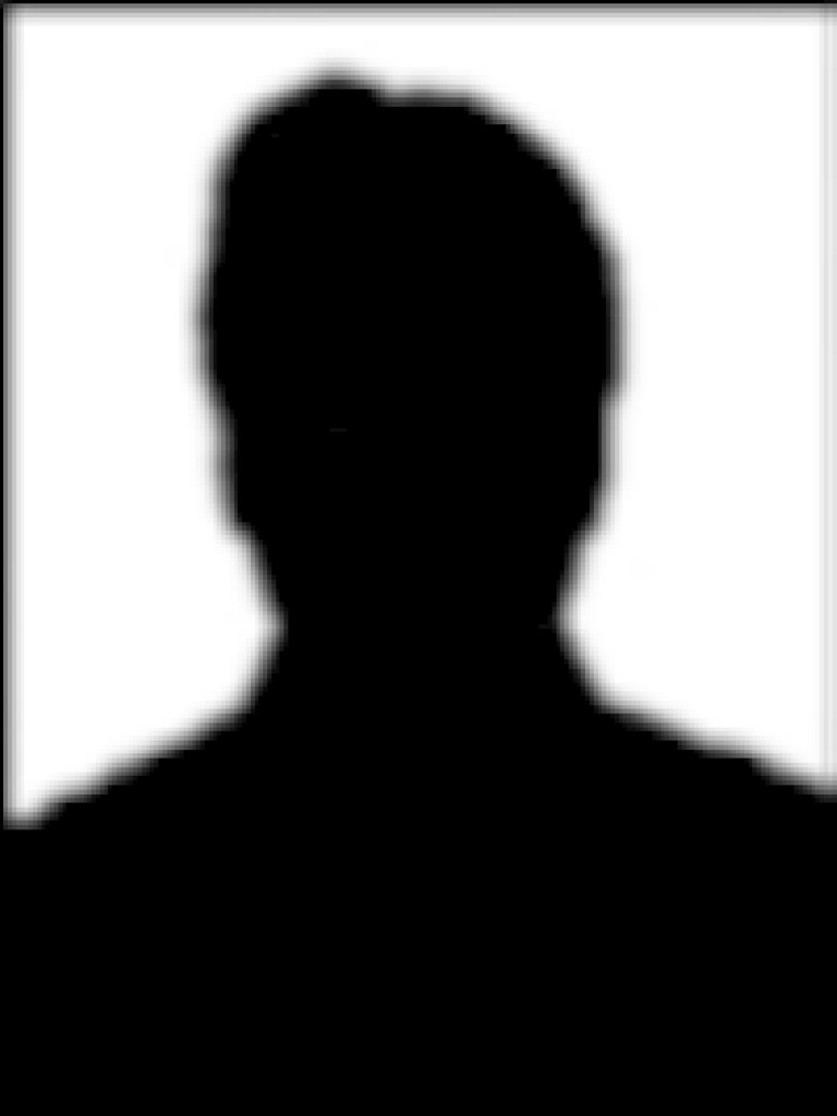No Picture | PDF