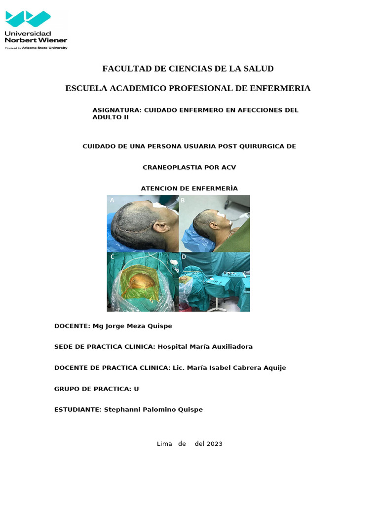 Pae Final Exposicion | PDF | Enfermería | Nutrición