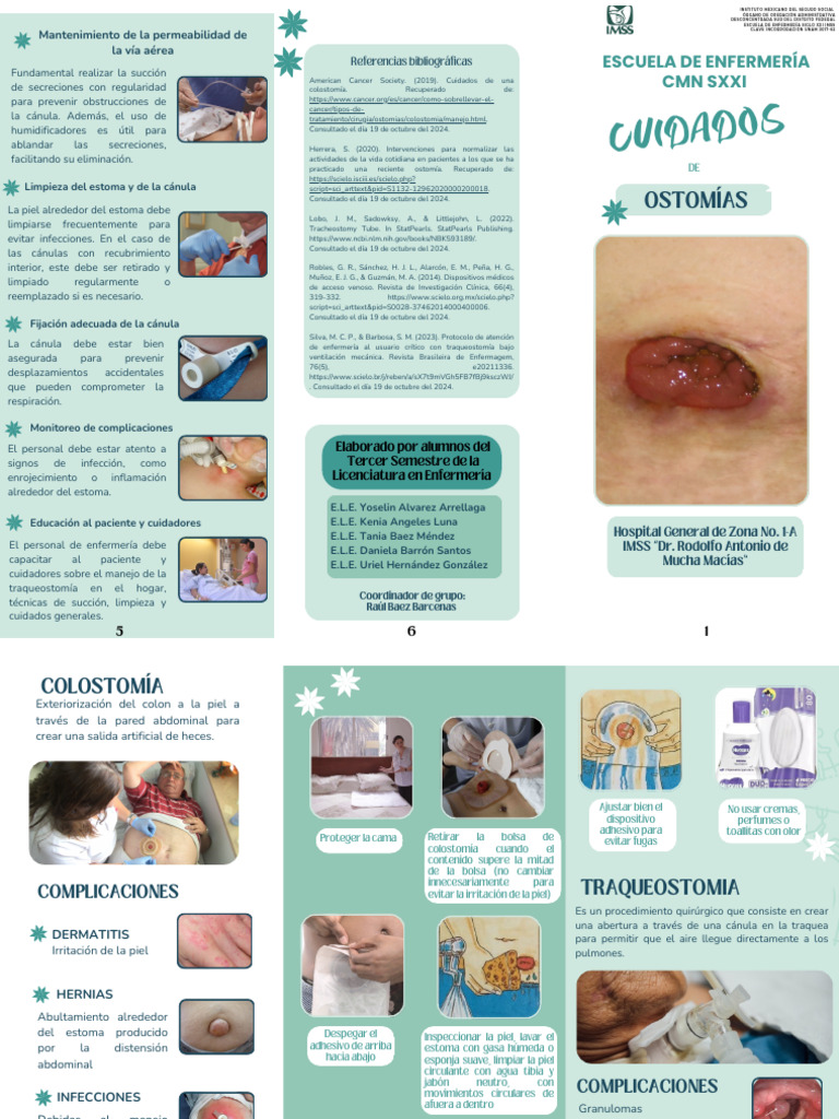 Folleto Tríptico Ofertas Alojamiento Rural Orgánico Verde | PDF | Enfermedades y trastornos ...