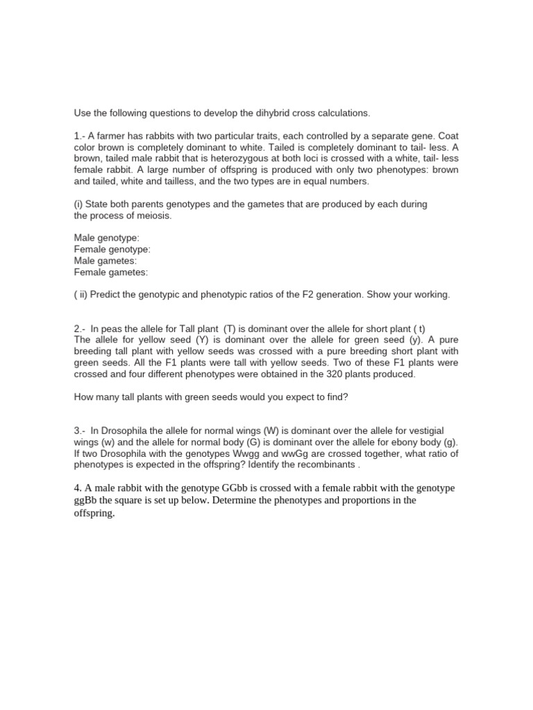 Practice Punnet Squares | PDF | Science & Mathematics