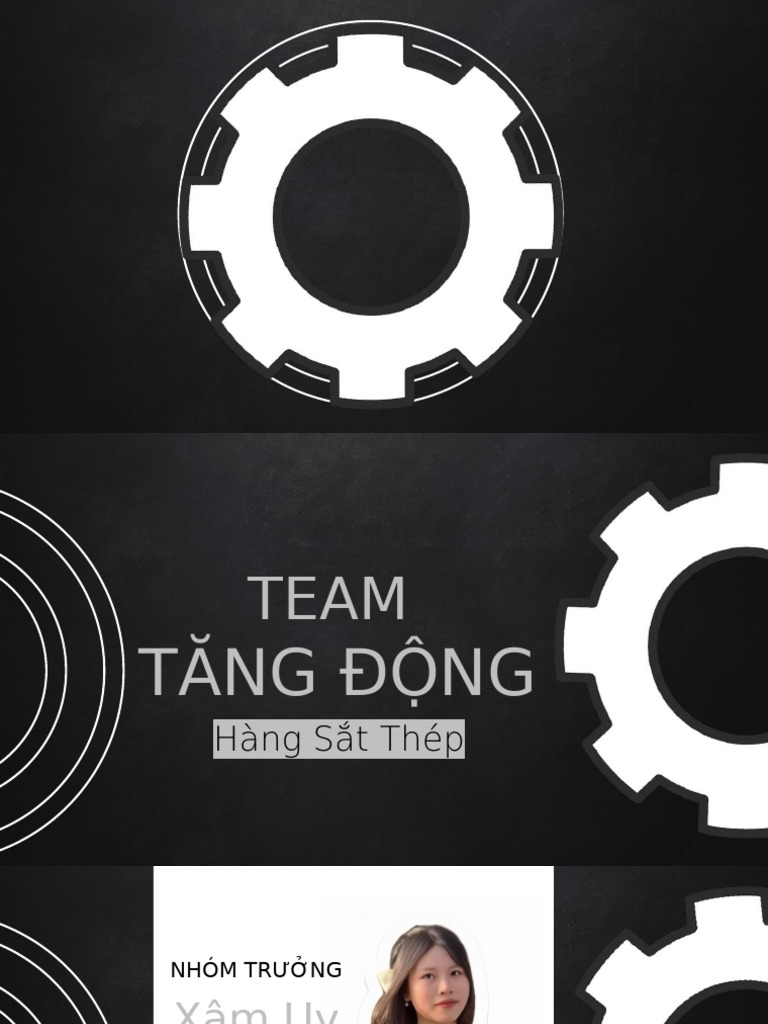 Bài Thuyết Trình HHVT | PDF