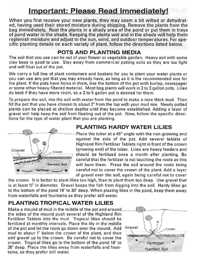 P 2361 3-Plantinginstructions | PDF