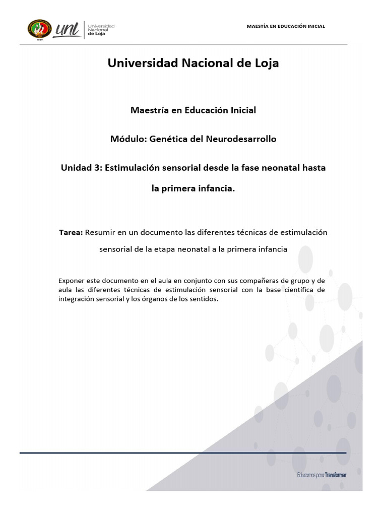 Técnicas de Estimulación Sensorial U3 MEI UNL | PDF