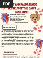 Triadan Tooth Numbering System | PDF