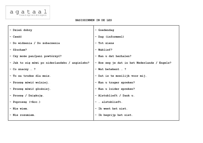 Basiszinnen in de Les | PDF