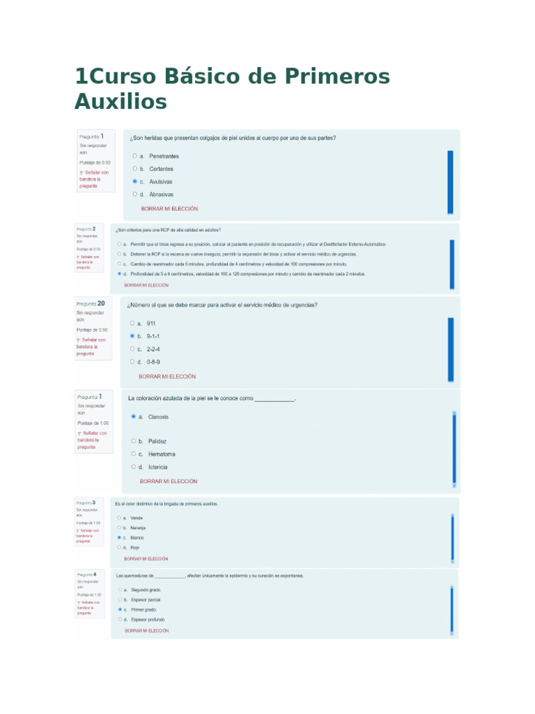 Curso Básico de Primeros Auxilios | PDF