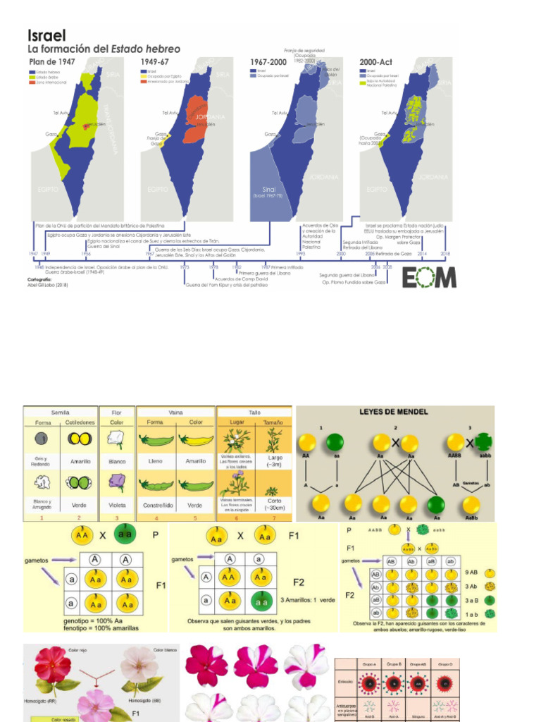 Tarea CCSS S2 U7 | PDF