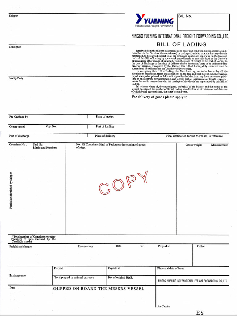 Ynf202410113 HBL | PDF