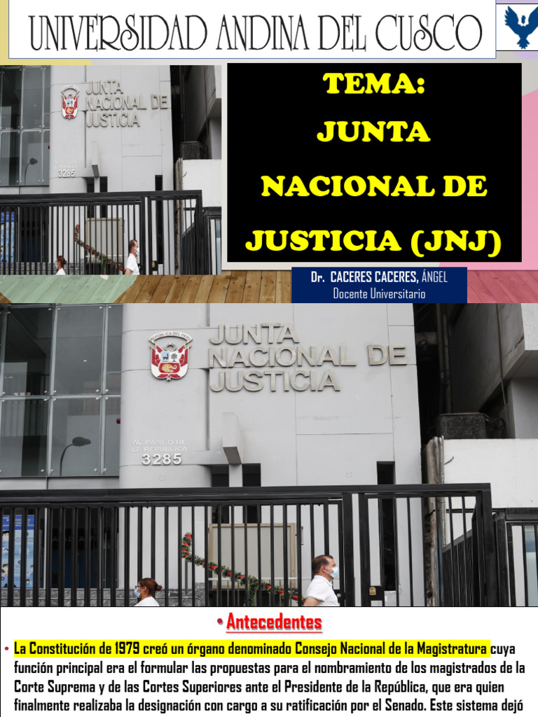 Junta Nacional de Justicia y CNM | PDF | Gobierno | Gobernancia