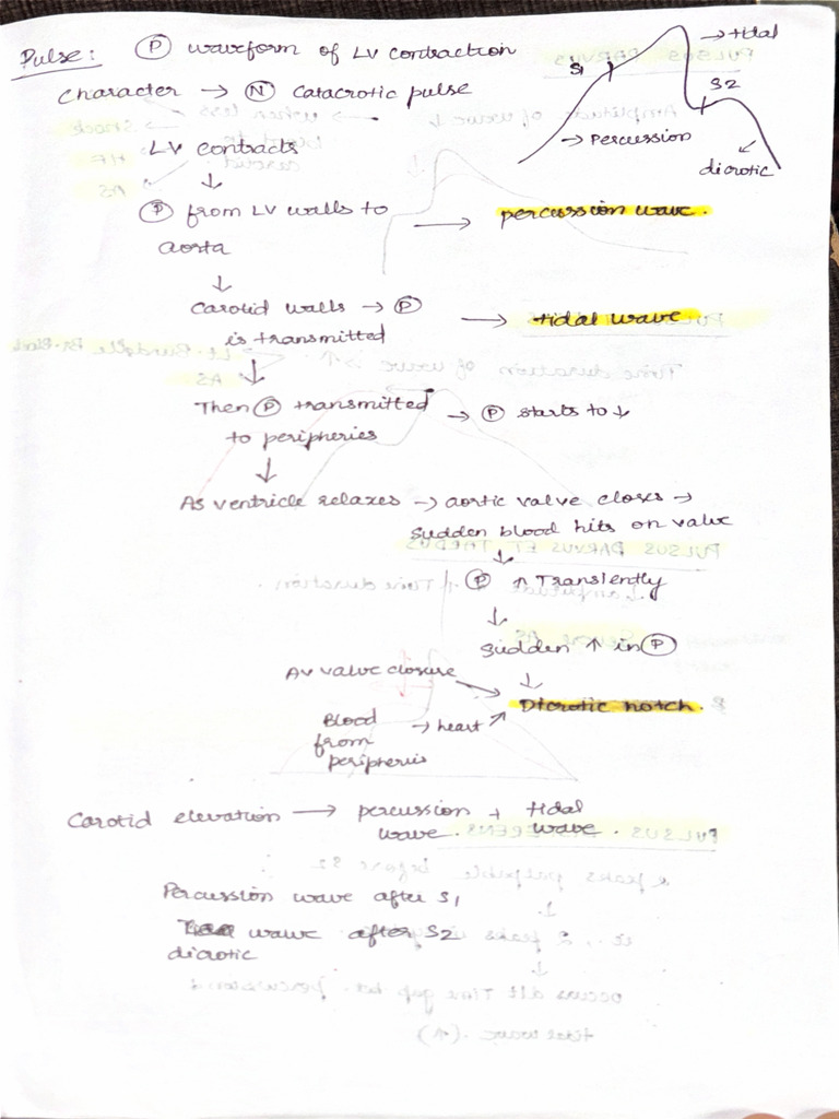 Pulse Characters Notes | PDF