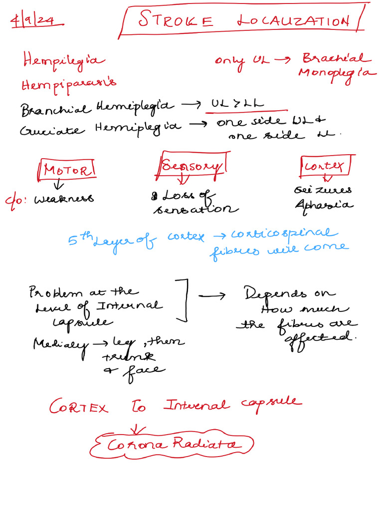 Stroke Localisation | PDF