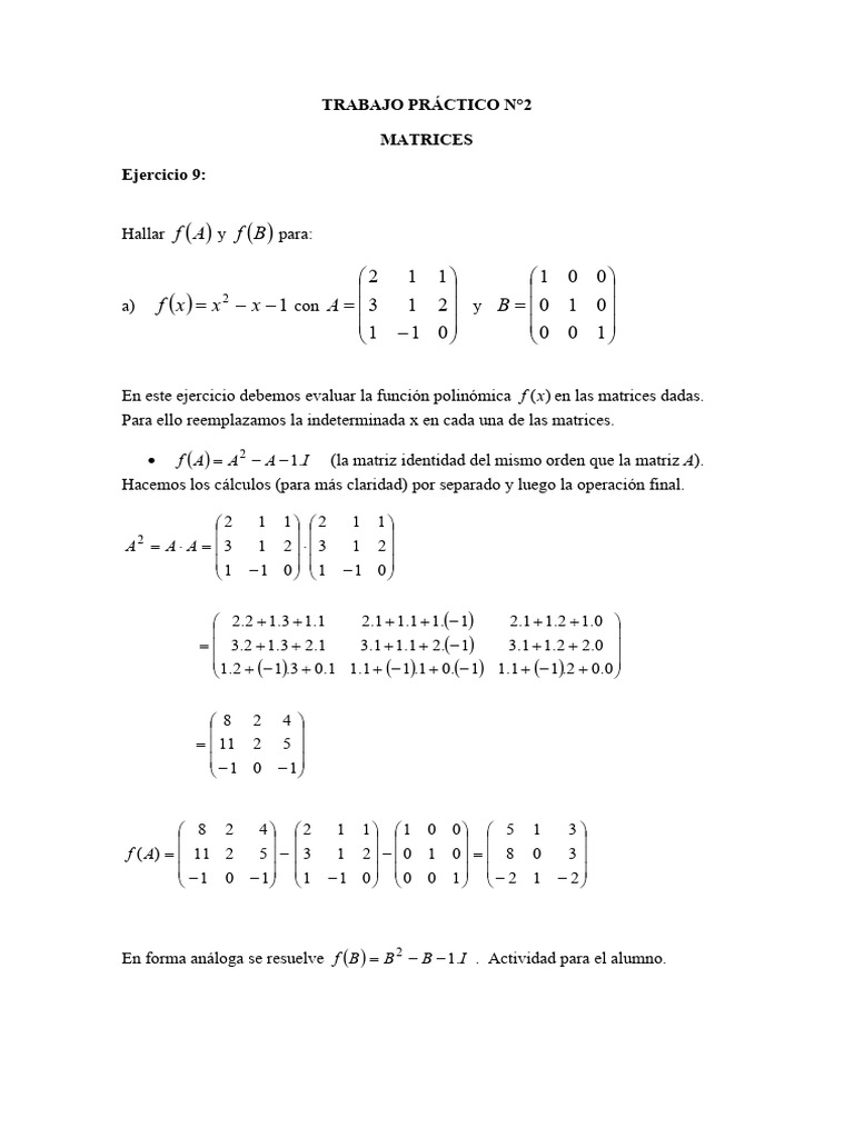 Matrices. Ejercicio 9 | PDF | Matriz (Matemáticas) | Conceptos matemáticos