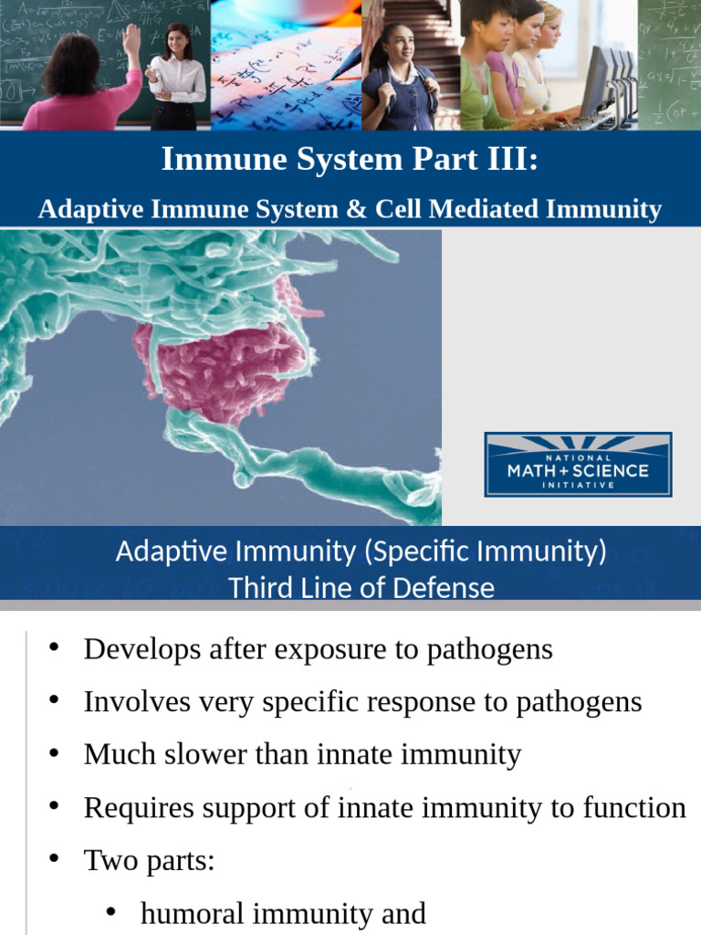 Adaptive Immunity and Cell Mediated | PDF | Immune System | T Cell