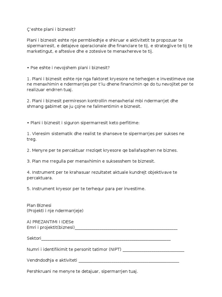 Plan Biznesi | PDF