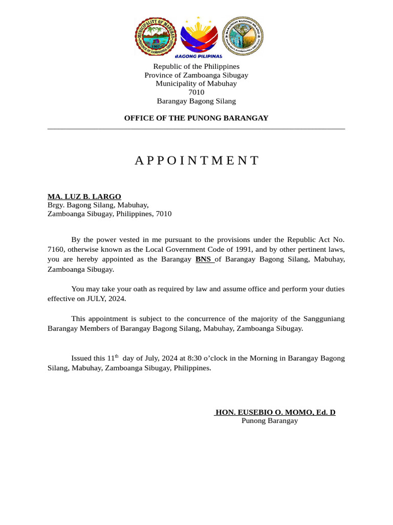 Appointment of Barangay Secretary and Treasurer | PDF
