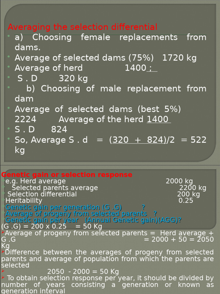 Example Presentation1 | PDF | Cooking, Food & Wine