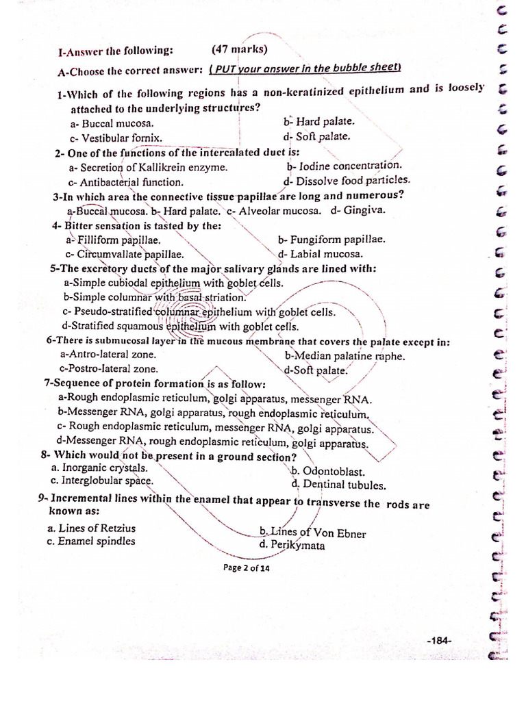 Scanned Document Pages | PDF
