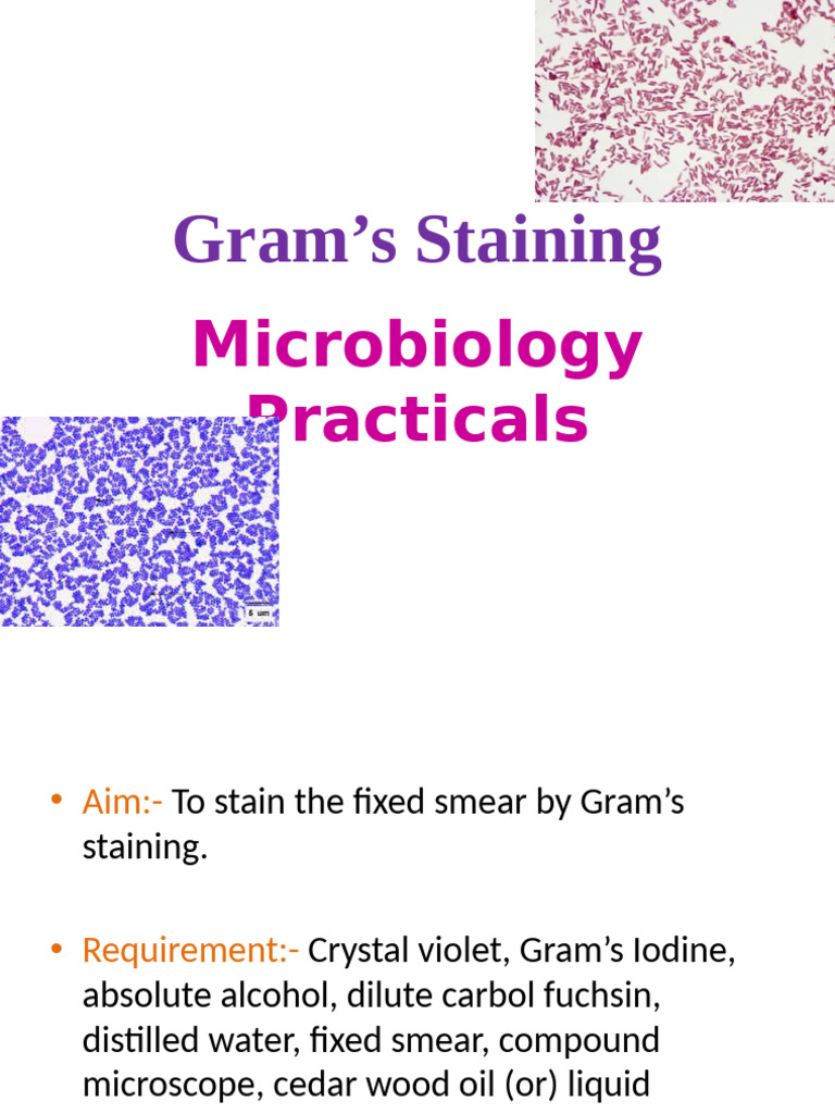 Gram's Staining (2) | PDF | Staining | Gram Negative Bacteria