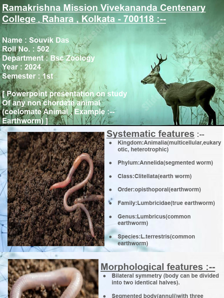 Zoology - 1st Sem - First Year - Coelomate Animal - Mac 1 | PDF