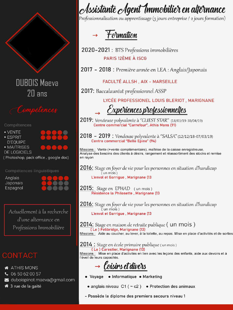 ISCG CV 2 - Compressed | PDF