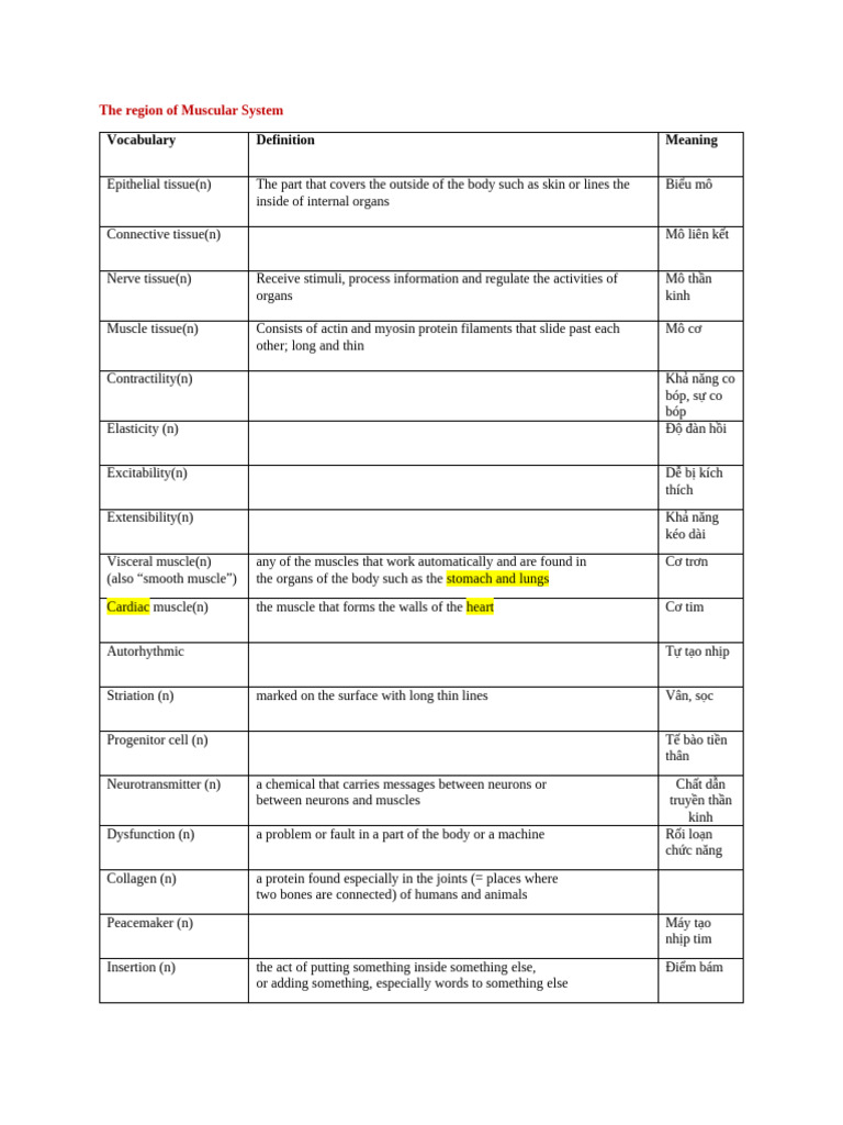Muscular System Vocabulary Guide | PDF | Musculoskeletal System | Soft ...
