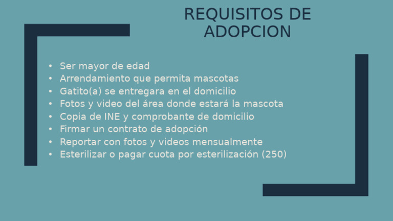 Requisitos de Adopcion | PDF
