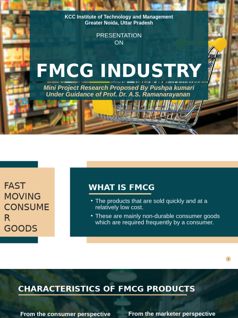 Overview of India's FMCG Industry | PDF | E Commerce | Grocery Store