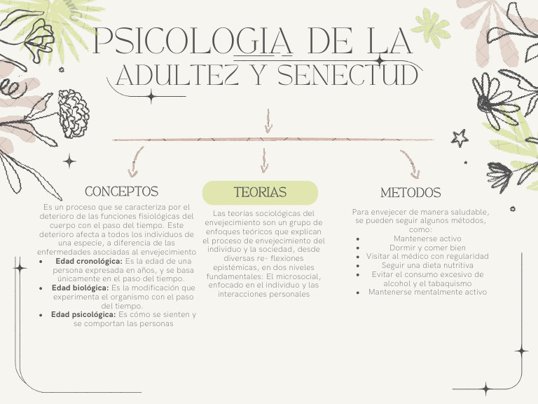 Mapa Conceptual Adultez y Senectud | PDF