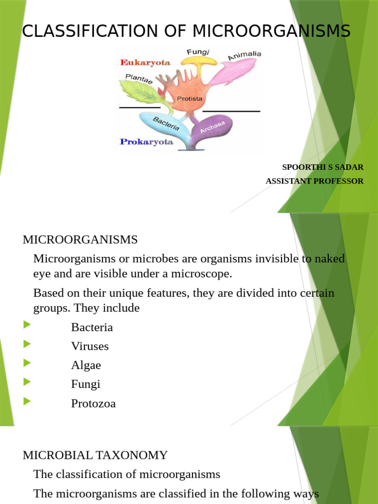 Microorganism Classification Overview | PDF | Microorganism | Eukaryotes