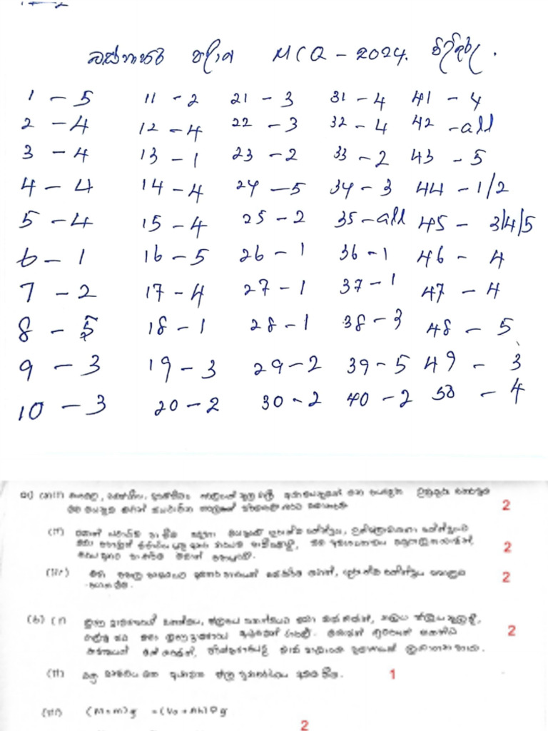 STR Essay Answers | PDF