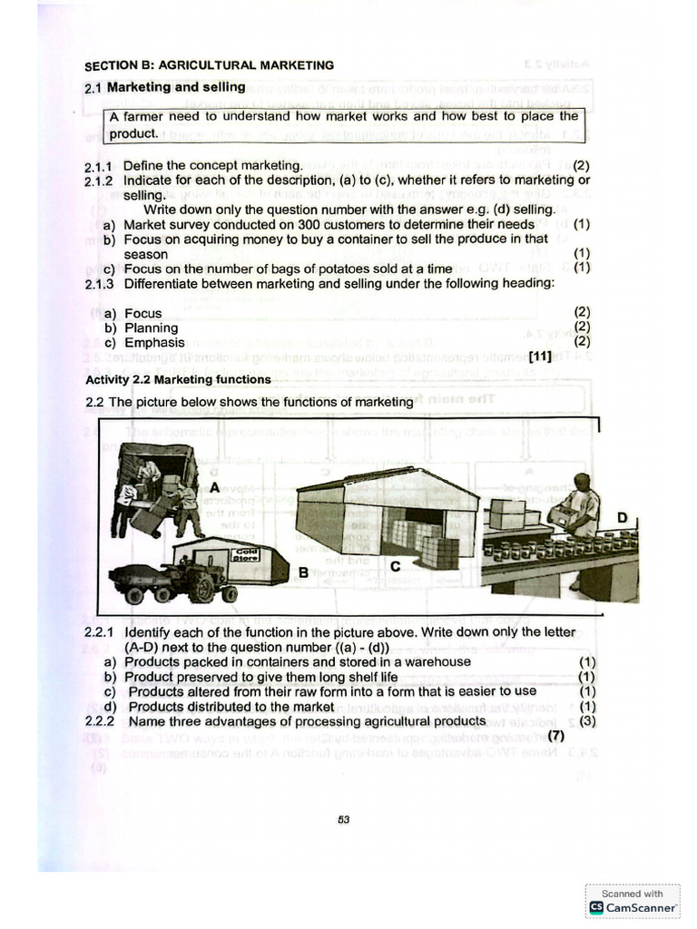 Agric Marketing | PDF