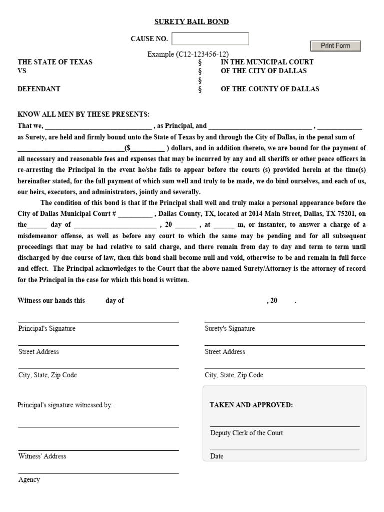 2 Citation Form | PDF | Bail | Surety