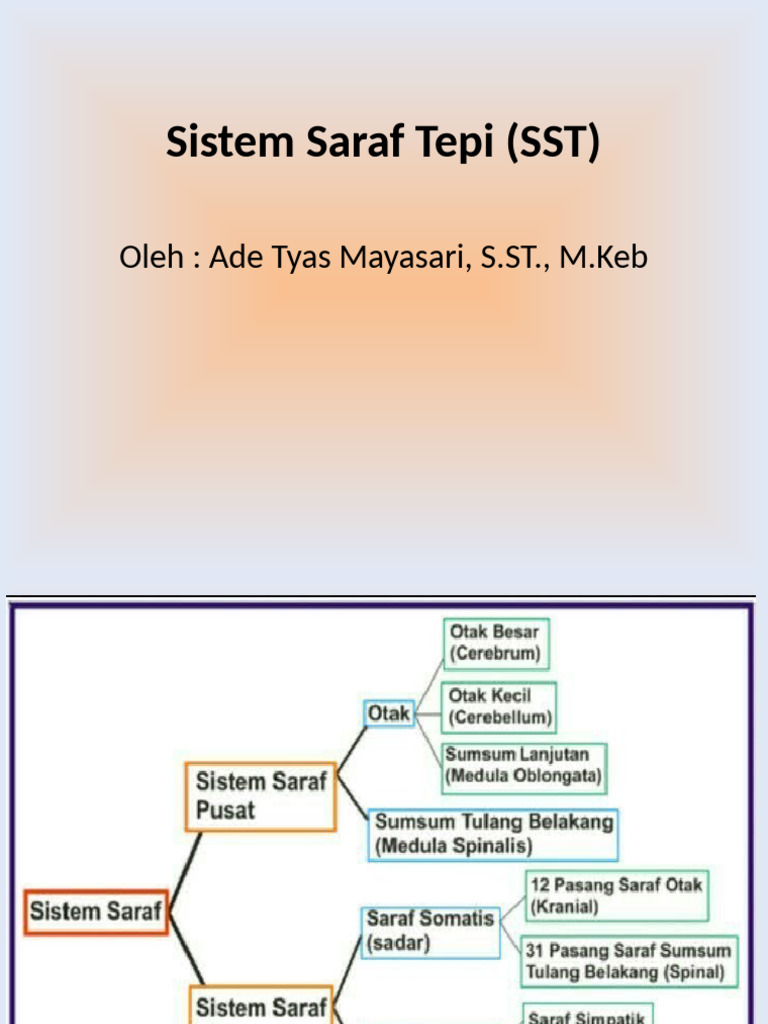 Pengertian dan Fungsi Sistem Saraf Tepi | PDF