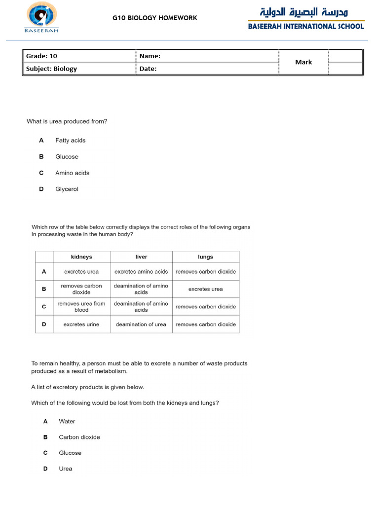 G10 - Unit 13 Excretion in Humans (HW) | PDF