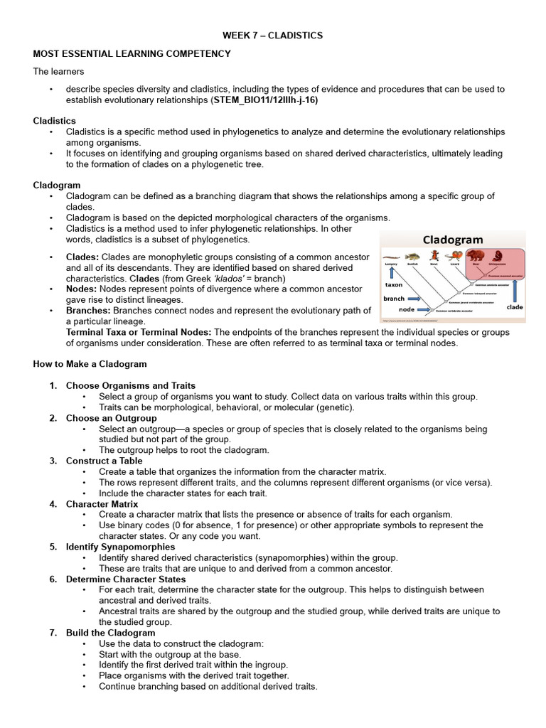 WEEK-7-CLADISTICS | PDF | Phylogenetics | Clade
