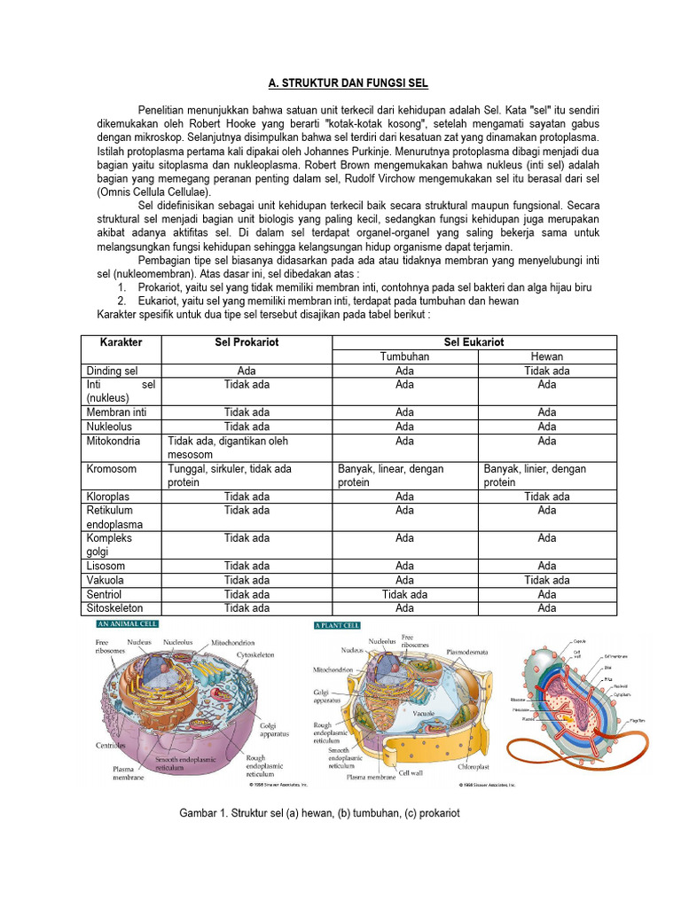 Modul Biologi Sel | PDF